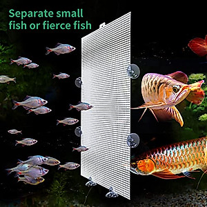 2 Pack Fish Tank Divider, Plastic Grid Cuttable Grid Plate Fish Separator with 12 Suction Cups DIY Designed Clear Easy to Bent 10 * 13in