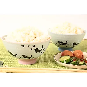 Mino ware Japanese Pottery Pair Rice Bowl Black Cats & Foot Prints Blue & Pink made in Japan (Japan Import) MIG005