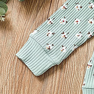 Kids Baby Girl Floral Clothes Set Ruffle Long Sleeve Pullover Tops + Bowknot Pants 2PCS Girls Outfits (Green, 2-3T)