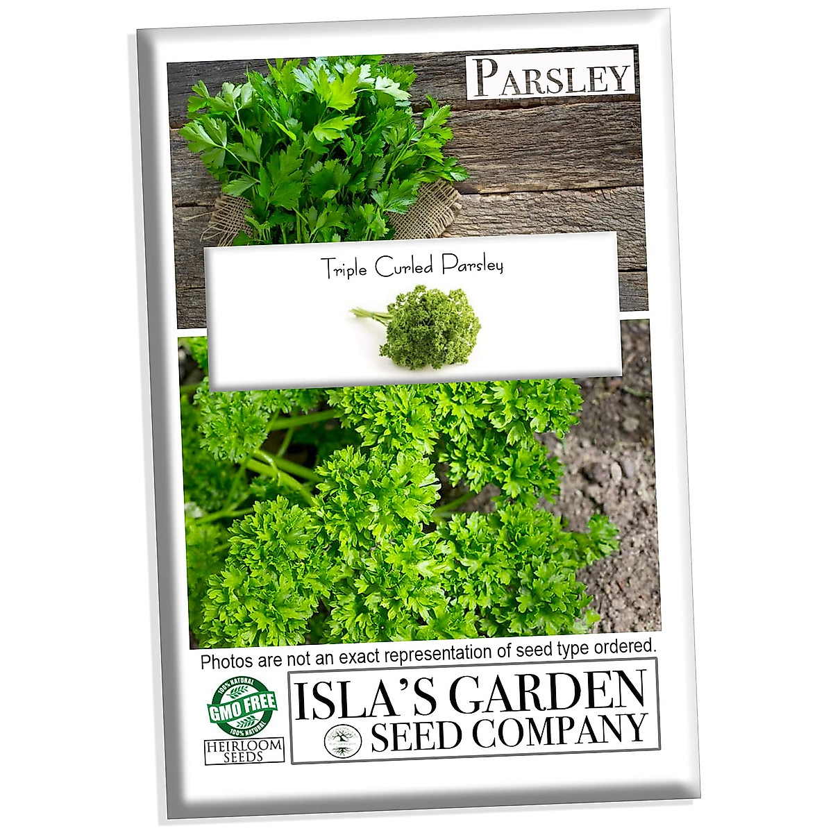 Triple Curled Parsley Seeds for Planting, 300+ Seeds Per Packet, (Isla's Garden Seeds), Non GMO & Heirloom Seeds, Botanical Name: Petroselinum crispum, Great Herb Garden Gift