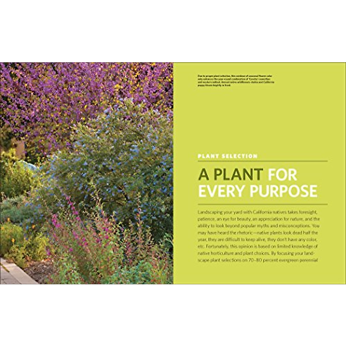 The California Native Landscape: The Homeowner's Design Guide to Restoring Its Beauty and Balance