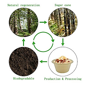 Cezoyx 300 Pack 2 Oz Natural Bagasse Fiber Cups, Disposable Paper Condiment Cups Compostable Tasting Cups, Sample Portion Cups for Jello Shot, Souffle, Condiment, Sauce