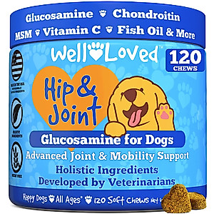 Well Loved Probiotics for Dogs and Joint Supplement for Dogs, Well Loved Dog Chews, Made in USA, Vet Developed, Dog Probiotic Chews, Glucosamine for Dogs