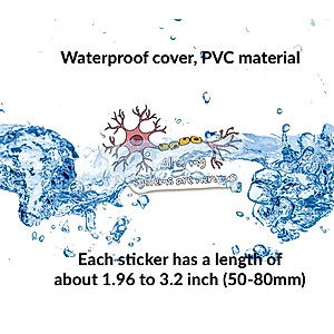 100 PCS Biology Stickers | Aesthetics Vinyl Waterproof Science Laptop Marine Biology Stickers for Water Bottles, Scrapbooking, Helmet - Biology Stickers Funny Gifts for Kids, Teens, Adults