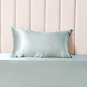 THXSILK 100% Silk Pillowcase for Hair and Skin Luxury 25 Momme Mulberry Silk, Pillow Cases with Hidden Zipper (Standard, Light Blue)