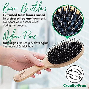 Beauty by Earth Boar Hair Brush for Fine Hair - Boar Bristle Hair Brush for Thick Hair - Boar Brush for Fine Hair - Mens Hair Brush for Thin Hair - Boars Hair Brush for Women