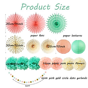 Mint Green Cream Pink Party Decoration Mint Peach Birthday Tissue Paper Pom Poms Paper Fans Circle Dot Garlands for Grils Mint Birthday Party Baby Shower Bridal Shower Wedding Party Decorations