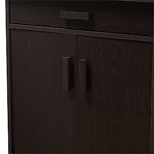 Baxton Studio Bienna Shoe Cabinet in Wenge Brown