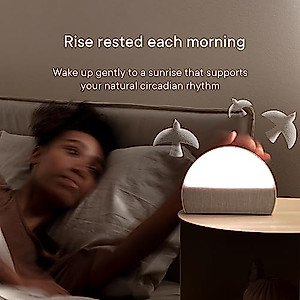 Hatch Restore 2 | Sunrise Alarm Clock | Sound Machine | Bedside Dream Machine | Smart Light | White Noise | Custom Sleep Routines | Dimmable Clock | Deep Sleep | Gentle Alarm | Wake Up Rested | Slate