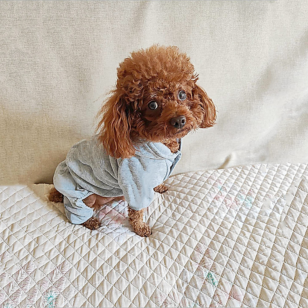 Dog Hoodie, Pet Jumpsuit Fleece Sweatshirt with Buttons, Dog Clothes, Dog Cold Weather Coats, Dog Pajamas, Winter Warm Cotton Puppy Hoodie 4 Legs Dog Clothes for Small Medium Large Dogs Cats Boy Girl