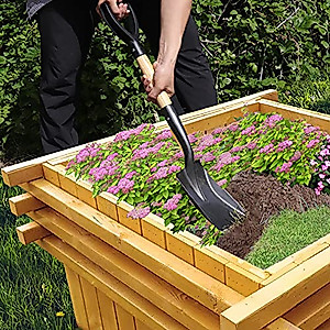 NC Small Garden Shovel, Kids Beach Shovel ,Shovel for Digging 28-inch with Wood Handle, Kids Snow Shovel,Mini Square Shovel ,Shovels for Gardening with D- Handle Gardening Tools, 28inch