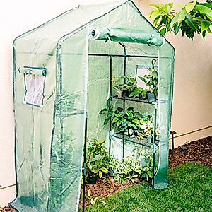 Ohuhu Greenhouse for Outdoors with Mesh Side Windows, 3 Tiers 4 Shelves Small Walk-In Green House Plant Stands Plastic PE Cover Outside Portable Warm House for Seedling Flowers Growing, 4.8x2.5x6.4 FT