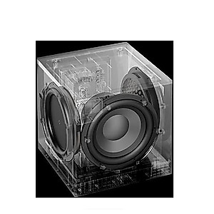 Definitive Technology Descend DN12 12" Subwoofer (2021 Model) - Optimized for Movies and Music, New 3XR Architecture, 1500W Peak Class H Amplifier & (2) Pressure-Coupled 12" Bass Radiators, Black