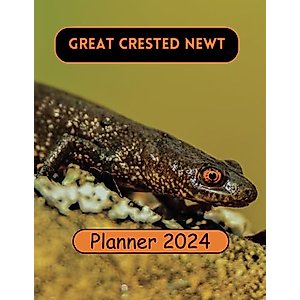 Great Crested Newt Planner 2024