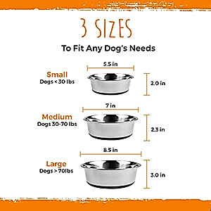 Mighty Paw Stainless Steel Dog Bowls (2 Pack) | Non-Slip Rubber Bottom and No Spill Design. Dishwasher Safe Metal Food & Water Dish Set for Small & Large Pet Breeds. (Small, Dogs <30 lbs, 5.5”)