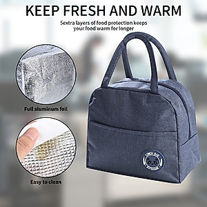 2 Pcs Lunch Bags, Insulated Lunch Bag, Reusable Cooler Lunch Tote Bag, Lunch Organizer Lunch Holder Lunch Box Bags with Pockets for Women/Men, Work, Picnic,Travel