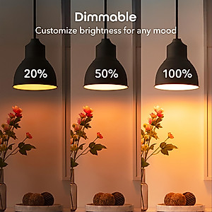 Geeni Prisma Plus 800 WiFi LED Smart Light Bulb (4-Pack), 2700-6500K Tunable Hue White to RGB, Dimmable, A19 60W, No Hub Required, Light Bulb Compatible with Alexa, Google Assistant