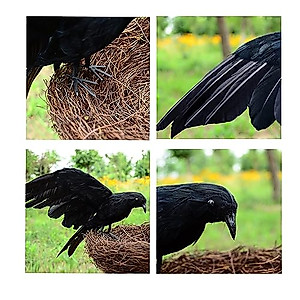 yumhum 2 Packs Large Real Feathered Halloween Black Crows, Lifelike Halloween Crows with Real Feathers Big Raven Birds for Yard Indoor Outdoor Décor