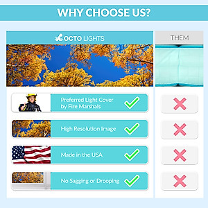 Octo Lights Fluorescent Light Covers for Ceiling Lights Classroom 2x4 (22.38in X 46.5in) Improve Focus, Eliminate Headaches, Provide Florescent Light Relief - Tree 010