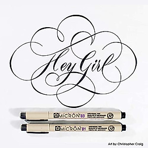 SAKURA Pigma Micron Fineliner Pens - Archival Black Ink Pens - Pens for Writing, Drawing, or Journaling - Assorted Point Sizes - 6 Pack