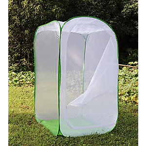 5 Feet Extra Large Monarch Butterfly Habitat, Giant Collapsible Insect Mesh Cage Terrarium Pop-up (White + Green, 35 x 35 x 59 Inches)