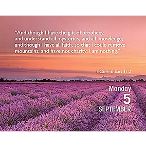 Bible Verse a Day 2022 Mini Boxed Calendar