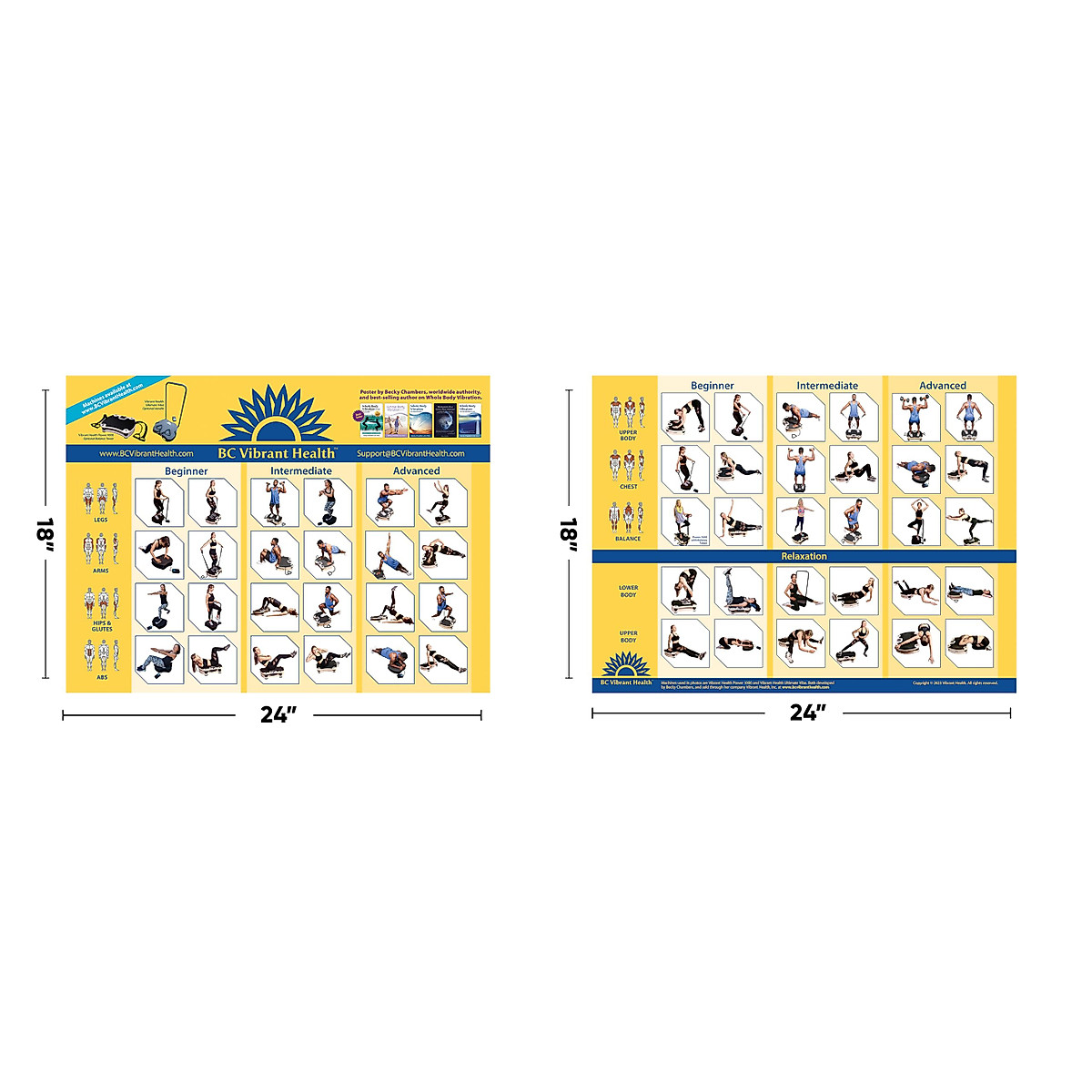 Full Body Vibration Poster Whole Body Vibration Plate Exercise Chart Workout Poster for Vibration Plate Exercise Machine