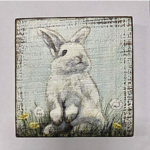 Primitives by Kathy Home Décor Sign With a Bunny in Dandelions: perfect for home, office, housewarming, gift,6" x 6" x 1"