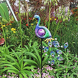 DenicMic Peacock Solar Garden Lights Outdoor, Solar Powered Garden Stake Decorative Christmas Yard Art Metal & Glass Waterproof Decro for Pathway Patio Landscape Lawn Courtyard 42 inch