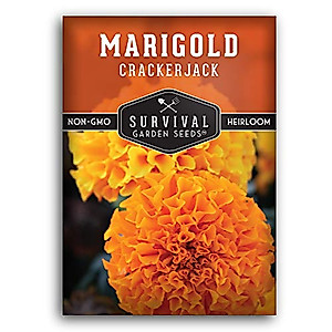 Survival Garden Seeds - Crackerjack Marigold Seed for Planting - Packet with Instructions to Plant and Grow in Your Home Vegetable Garden - Non-GMO Heirloom Variety