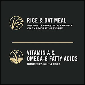 Purina Pro Plan Sensitive Skin and Stomach Cat Food, Lamb and Rice Formula - (5) 7 lb. Bags