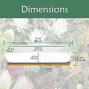 Ceramic Succulent Pots - 1 Pot - Long Rectangle - with Bamboo Tray - White - 11"