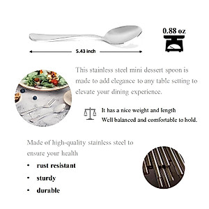 Mini Dessert Spoons Set of 6 PCS,Food Grade Stainless Steel,5.43 Inches,Rust Resistant,Sturdy and Durable,Mirror Polish,Silver,Dishwasher Safe.