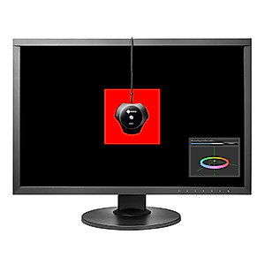 EIZO CS2420-BK ColorEdge Professional Color Graphics Monitor 24.1" Black