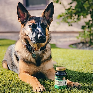 PetNC Natural Care Stool Eating Deterrent Chewables for Dogs, 60 Count