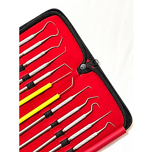 Premium Set of 12 Stainless Steel Precision Micro Probe Set Combo-Straight, Single, Short Double, Long Double, Triple and Hook Tips -Pick Tool Set 5.5"(14CM) (Set of 5 Each)
