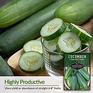 Survival Garden Seeds - Straight Eight Cucumber Seed for Planting - Packet with Instructions to Plant and Grow Pickling and Slicing Cucumbers in Your Home Vegetable Garden - Non-GMO Heirloom Variety