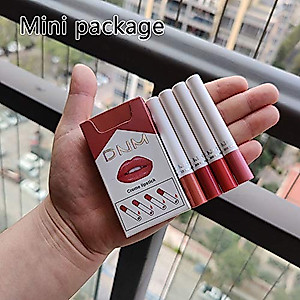 evpct 4Pcs Nude Pink Mauve Rose Red Glossy Matte Lipstick Lip Gloss Sets Kit for Women Girls Teens Lip Color Changing Lip Balm All Day Lipstick Waterproof Long Lasting 24 Matte Lipstick Samples Case