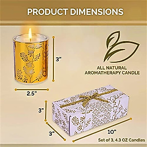 Aromatherapy Candles Gift Set | Strawberry Parsley, Persimmon & Eucalyptus Bergamot Soy Candles Set | Decorative Gold Scented Candles Gift for Women | Birthday Gift Candles | Candle Gifts for Home