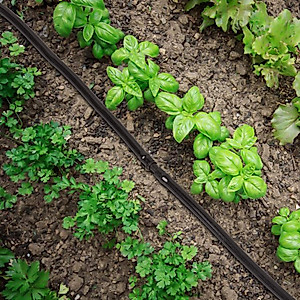 Arfun 80 Pack Drip Irrigation 1/4” Barbed Coupling Fittings, Barbed Connectors Fits Universal 1/4-Inch Drip Tubing, Irrigation Coupler for Drip or Sprinkler System