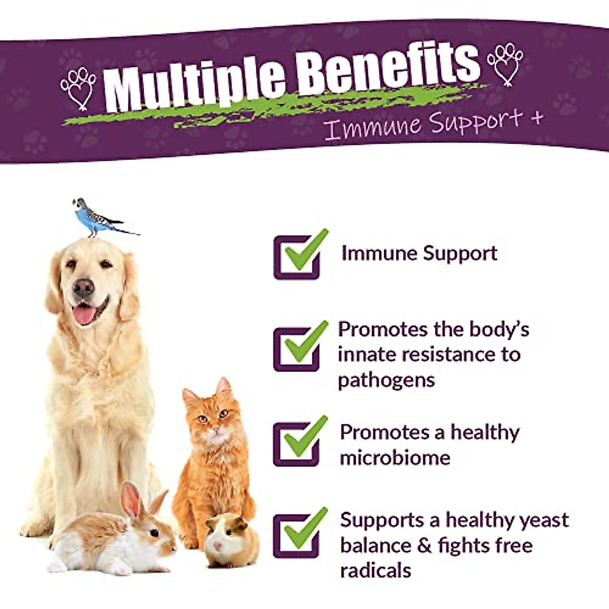 Amber NaturalZ - Vibactra Plus Immune Support Plus - an antioxidant enriched formula helps fight free radicals, supports healthy yeast balance, maintains healthy gut flora, supports upper respiratory health and oral health - 1 Oz