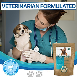 Replenish Dog Paw Health Mix – Natural Skin Soother, Moisturizer and Paw Softener for Your Pup, Foot Soak (Pack of 1)