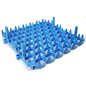 Universal Chicken Egg Trays (6 pack)