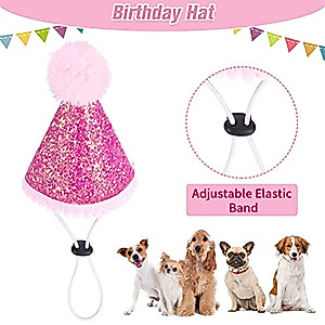 EXPAWLORER Dog Birthday Bandana Set - Cute Hat and Squeaky Monkey Toy for Birthday Party Supplies Gift - Great for Small Medium Large Dogs