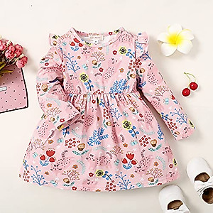 Toddler Girl Floral Cat Pink Dress Long Sleeve Baby Girl Cotton Fall Outfit(Cat/4T)