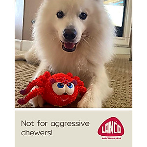 Sensory Spider - Squeaky Dog Toys - Medium Breeds - Natural Rubber/Latex - Comply with Same Safety Standards as Baby Toys