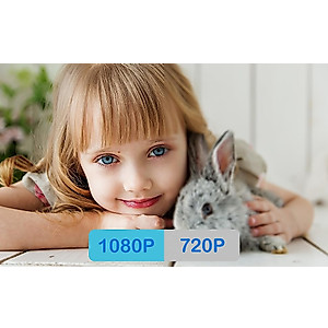 Wireless WIFI Home Security Camera Body Indoor Outdoor Surveillance Room Camera 1080P HD With Night Vision, Motion Detection Phone Application built-in battery Cat dog camera for home security pet