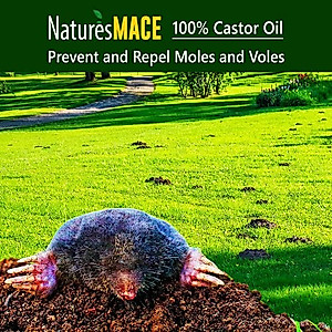 Nature’s MACE Mole & Vole Repellent 1 Gallon Castor Oil Concentrate/Covers up to 20,000 Sq. Ft. / Keep Moles and Voles Out of Your Lawn and Garden/Safe to use Around Home & Plants Guaranteed