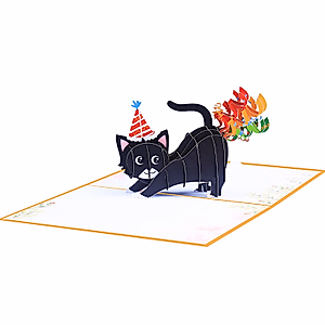 ROBBEAR Funny Cat Pop Up Birthday Card, Funny 3D Birthday Cards for Adults and Kids with Envelopes, Handmade Gifts for Cat Mom, Dad, Friend and Every Cat Lover