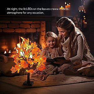 Woohaha 24LED Fall Tree Lighted Maple Tree,Thanksgiving Decoration Maple Leaf Table Tree,Timer Battery Operate Fall Decor Lights for Indoor Outdoor Holiday Autumn Harvest Xmas Party Home Decor